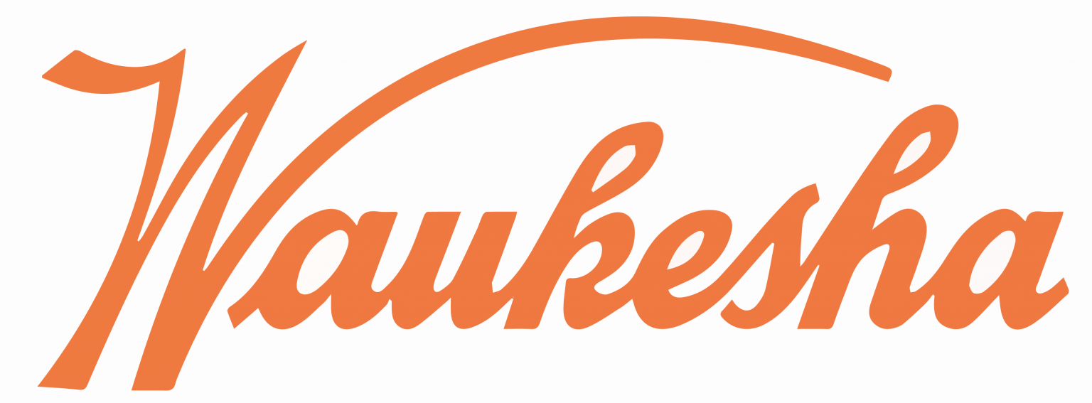 Waukesha Engine Parts Genuine